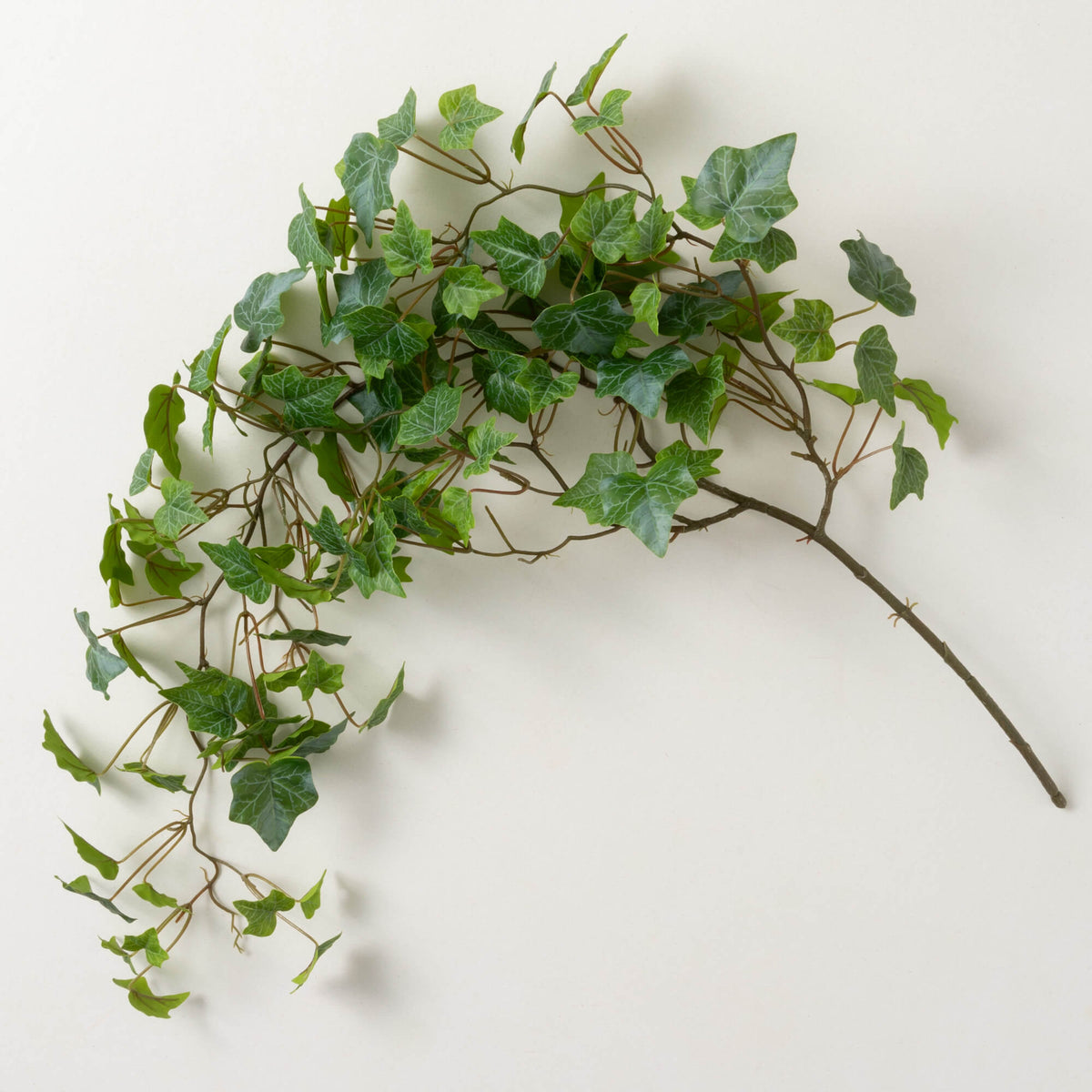 Green Ivy Bush – Sullivans Home Decor