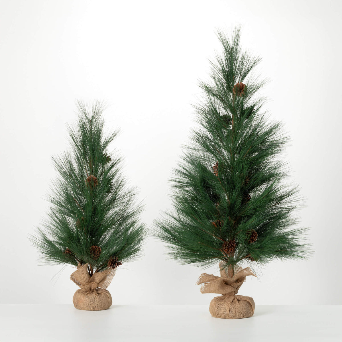 Long Pine Tree Set Of 2 – Sullivans Home Decor
